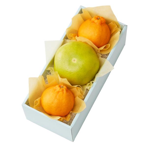 ●同梱不可商品●商品の性質上、お届けまでにお時間のかかる地域（北海道利尻郡・礼文郡、伊豆諸島青ヶ島村、小笠原諸島、島根県隠岐郡知夫村、長崎県対馬市、鹿児島県奄美市・大島郡・鹿児島郡・熊毛郡・西之表市、沖縄県石垣市・島尻郡北大東村・島尻郡久米...