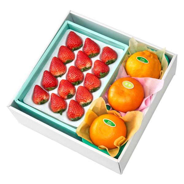 ●同梱不可商品●商品の性質上、お届けまでにお時間のかかる地域（北海道利尻郡・礼文郡、伊豆諸島青ヶ島村、小笠原諸島、島根県隠岐郡知夫村、長崎県対馬市、鹿児島県奄美市・大島郡・鹿児島郡・熊毛郡・西之表市、沖縄県石垣市・島尻郡北大東村・島尻郡久米...