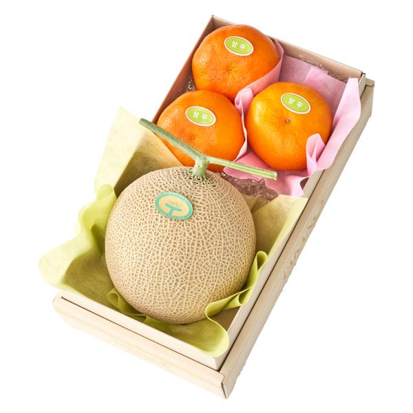 ●同梱不可商品●商品の性質上、お届けまでにお時間のかかる地域（北海道利尻郡・礼文郡、伊豆諸島青ヶ島村、小笠原諸島、島根県隠岐郡知夫村、長崎県対馬市、鹿児島県奄美市・大島郡・鹿児島郡・熊毛郡・西之表市、沖縄県石垣市・島尻郡北大東村・島尻郡久米...