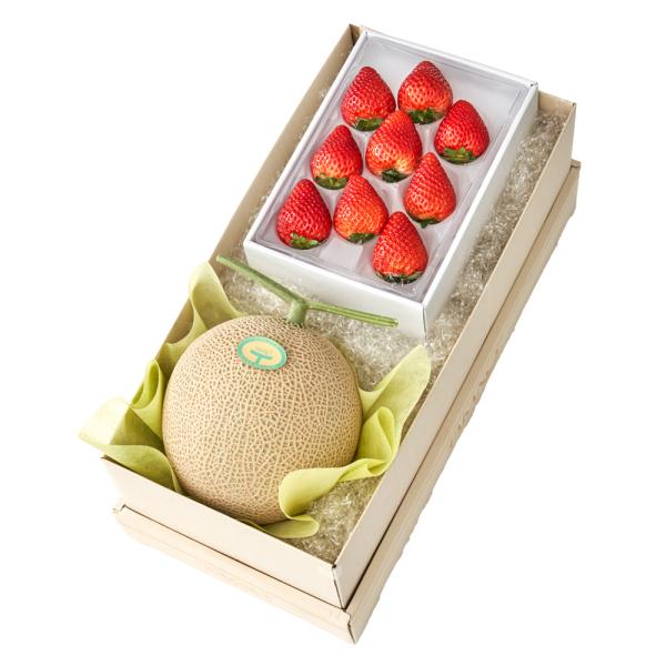 ●同梱不可商品●商品の性質上、お届けまでにお時間のかかる地域（北海道利尻郡・礼文郡、伊豆諸島青ヶ島村、小笠原諸島、島根県隠岐郡知夫村、長崎県対馬市、鹿児島県奄美市・大島郡・鹿児島郡・熊毛郡・西之表市、沖縄県石垣市・島尻郡北大東村・島尻郡久米...