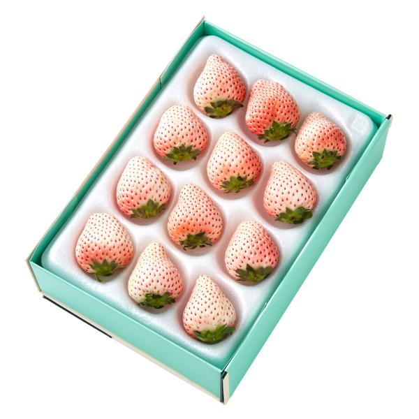 ●同梱不可商品●商品の性質上、お届けまでにお時間のかかる地域（北海道利尻郡・礼文郡、伊豆諸島青ヶ島村、小笠原諸島、島根県隠岐郡知夫村、長崎県対馬市、鹿児島県奄美市・大島郡・鹿児島郡・熊毛郡・西之表市、沖縄県石垣市・島尻郡北大東村・島尻郡久米...