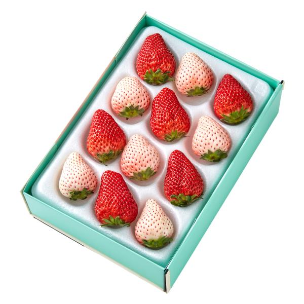 ●同梱不可商品●商品の性質上、お届けまでにお時間のかかる地域（北海道利尻郡・礼文郡、伊豆諸島青ヶ島村、小笠原諸島、島根県隠岐郡知夫村、長崎県対馬市、鹿児島県奄美市・大島郡・鹿児島郡・熊毛郡・西之表市、沖縄県石垣市・島尻郡北大東村・島尻郡久米...