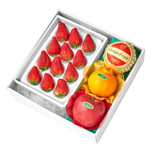 ●同梱不可商品●商品の性質上、お届けまでにお時間のかかる地域（北海道利尻郡・礼文郡、伊豆諸島青ヶ島村、小笠原諸島、島根県隠岐郡知夫村、長崎県対馬市、鹿児島県奄美市・大島郡・鹿児島郡・熊毛郡・西之表市、沖縄県石垣市・島尻郡北大東村・島尻郡久米...