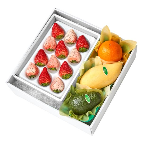 ●同梱不可商品●商品の性質上、お届けまでにお時間のかかる地域（北海道利尻郡・礼文郡、伊豆諸島青ヶ島村、小笠原諸島、島根県隠岐郡知夫村、長崎県対馬市、鹿児島県奄美市・大島郡・鹿児島郡・熊毛郡・西之表市、沖縄県石垣市・島尻郡北大東村・島尻郡久米...