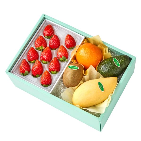 ●同梱不可商品●商品の性質上、お届けまでにお時間のかかる地域（北海道利尻郡・礼文郡、伊豆諸島青ヶ島村、小笠原諸島、島根県隠岐郡知夫村、長崎県対馬市、鹿児島県奄美市・大島郡・鹿児島郡・熊毛郡・西之表市、沖縄県石垣市・島尻郡北大東村・島尻郡久米...