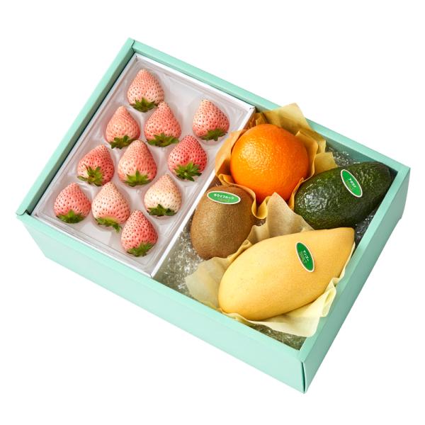 ●同梱不可商品●商品の性質上、お届けまでにお時間のかかる地域（北海道利尻郡・礼文郡、伊豆諸島青ヶ島村、小笠原諸島、島根県隠岐郡知夫村、長崎県対馬市、鹿児島県奄美市・大島郡・鹿児島郡・熊毛郡・西之表市、沖縄県石垣市・島尻郡北大東村・島尻郡久米...