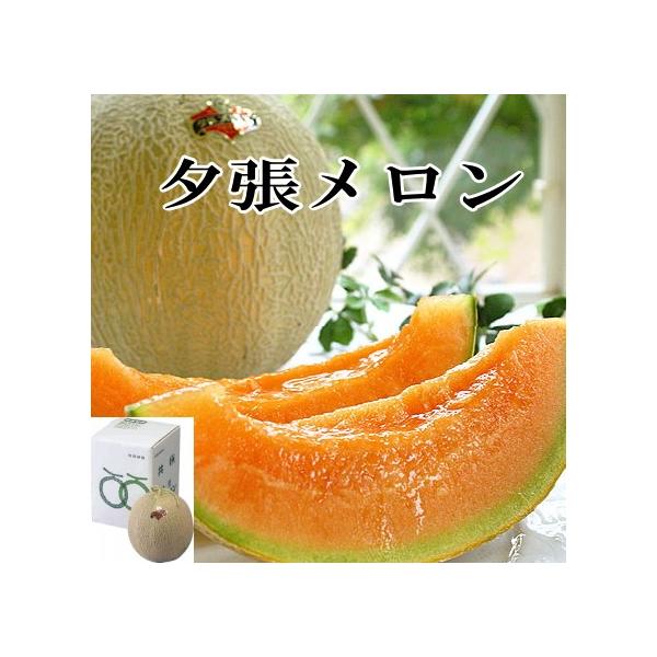●北海道産夕張メロン（優品・赤果肉）1.6ｋｇ×１玉【お届け期間：7月上旬〜7月下旬】　・産地直送のため代引き、コンビニ受取、包装、のし、メッセージカードのご対応は出来ません。・離島など、一部発送できない地域がございます。（沖縄・離島は別途...