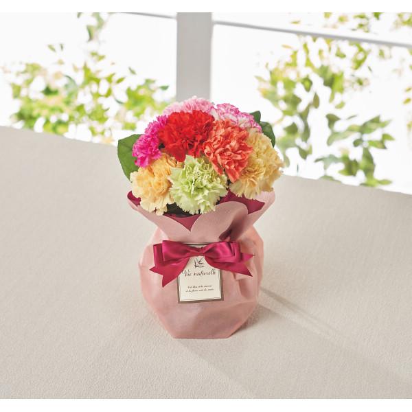 ７色のカーネーションをアレンジ。受け取ったそのままの状態で飾ることのできる花瓶いらずのスタンディグブーケです。 サイズ ●現品（長さ）約２３ｃｍ内容 ●カーネーション８、レモンリーフ●お手入れのしおり付　【ボール箱入】原産国 日本※代引き、...