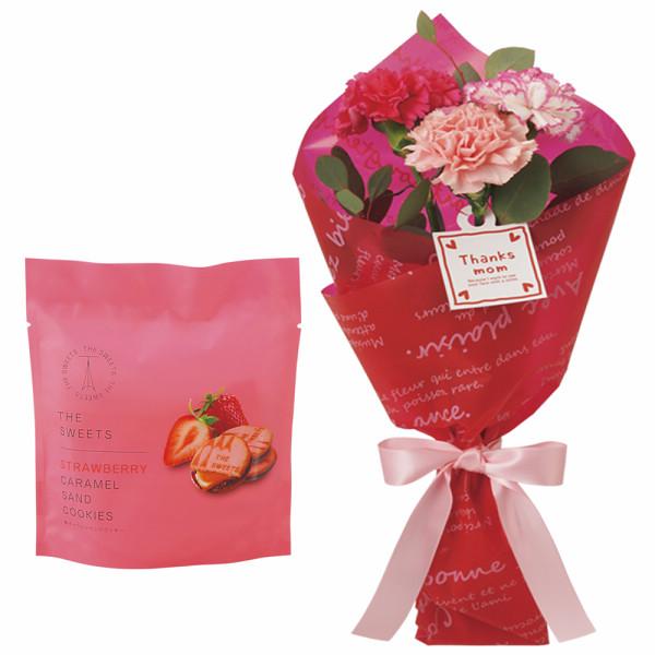 ※代引き、コンビニ受取、包装、のし、メッセージカードのご対応は出来ません。 　・お届けは2026年5月6日〜10日にて順次お手配をさせて頂きます。（お届け日時のご指定はできません。） ・離島など、一部発送できない地域がございます。 ・季節商...