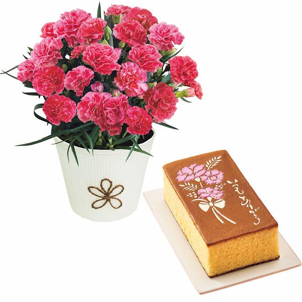 ※代引き、コンビニ受取、包装、のし、メッセージカードのご対応は出来ません。 　・お届けは2026年5月6日〜10日にて順次お手配をさせて頂きます。（お届け日時のご指定はできません。） ・離島など、一部発送できない地域がございます。 ・季節商...