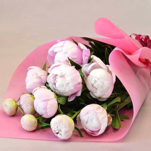 ※代引き、コンビニ受取、包装、のし、メッセージカードのご対応は出来ません。 　・お届けは2026年5月6日(水)〜5月10日(日)にて順次お手配をさせて頂きます。（お届け日時のご指定はできません。） ・離島など、一部発送できない地域がござい...