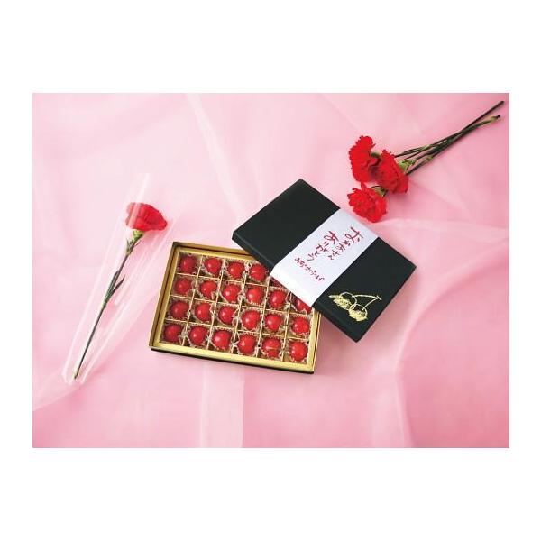 ※代引き、コンビニ受取、包装、のし、メッセージカードのご対応は出来ません。　・お届けは2026年5月6日〜10日にて順次お手配をさせて頂きます。（お届け日のご指定はできません。）・離島など、一部発送できない地域がございます。・季節商品の為、...