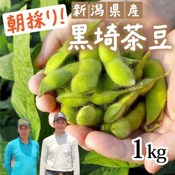 【産地直送】青木農場 黒埼茶豆 枝豆 えだまめ■黒埼茶豆とは■新潟県新潟市・旧黒埼町地区で栽培されるブランド枝豆。普通の枝豆と見た目は似ていますが、薄皮がうっすら茶色がかっているのが特徴。「コクのある甘み」と「芳醇な香り」は他の枝豆とは一線...