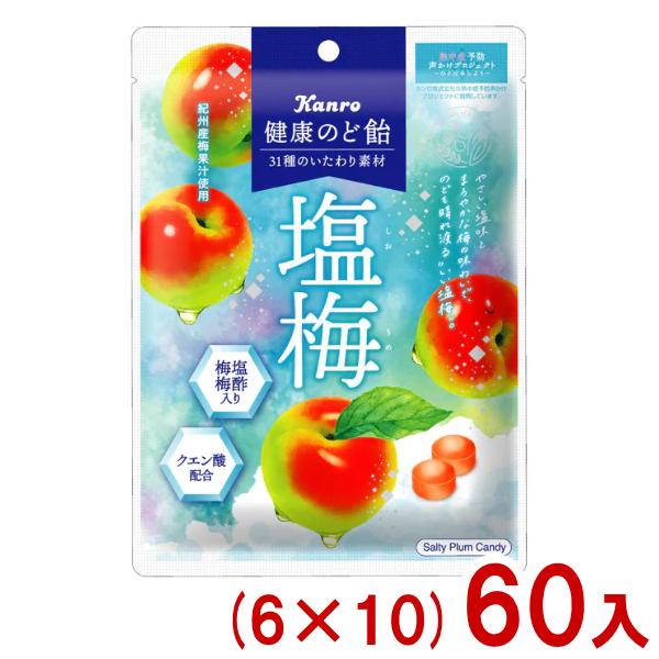 梅酢と梅塩を使用した、さわやかなのにコク深い東北を除く本州・四国・九州は送料無料！北海道・沖縄は配送不可、東北は別途送料200円(税別)がかかります。 爆買健康のど飴塩梅 カンロ かんろ 健康のど飴梅 健康梅のどあめ のどあめ 梅 梅飴 の...