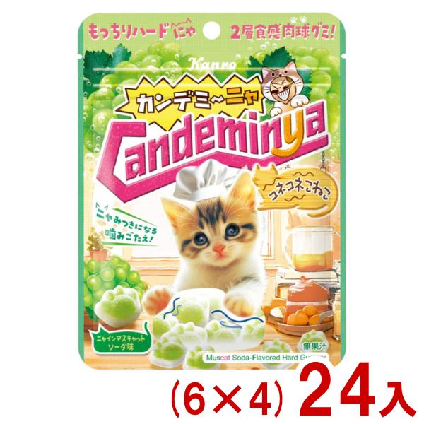 ネコをモチーフとしたカンデミーナグミが今年も登場東北を除く本州・四国・九州は送料無料！北海道・沖縄は配送不可、東北は別途送料200円(税別)がかかります。カンデミーナグミ カンデミーナグミ コネコネこねこ マスカットソーダ味味 マスカットグ...