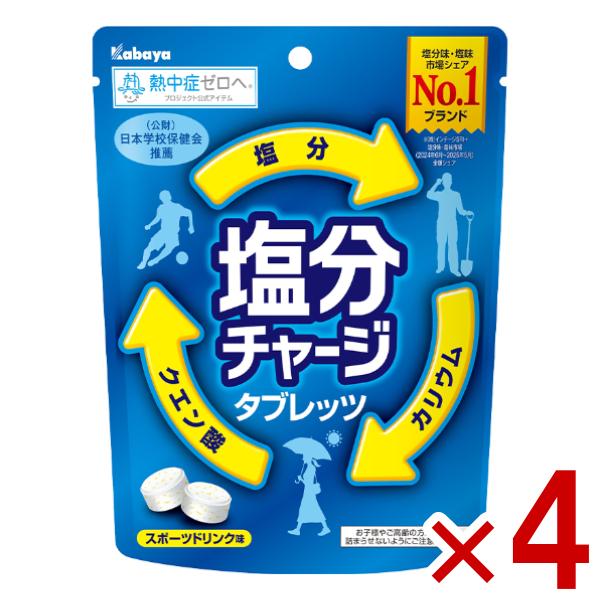 全国送料無料！代引き不可！同梱不可！出荷後、保管期間が過ぎ返送となった場合は、送料と梱包費用の300円(税別)ご請求をさせて頂きます。また、再送の対応は致しません。誤ってご注文されたなどの、お客様都合による返品・交換は不可です。塩分チャージ...