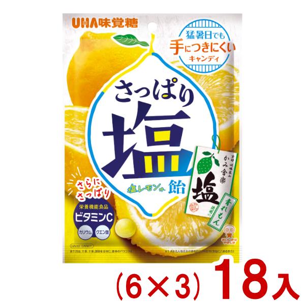 夏にぴったりのさっぱり塩キャンディ東北を除く本州・四国・九州は送料無料！北海道・沖縄は配送不可、東北は別途送料200円(税別)がかかります。さっぱり塩飴 塩レモン 塩レモンキャンディ 塩レモン飴 レモン飴 レモンキャンディ レモンキャンデー...