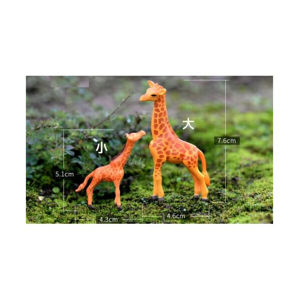 ■詳細セット内容：1体フィギュアサイズ：小サイズ高さ約5cm、大サイズ約4.6*7.6cm材質：PVC生産国：中国少し高さがあるので、テラリウムにも使えますが、多肉植物もしくは観葉植物と一緒に飾るといいです。 自立して立ちますが、苔もしくは...