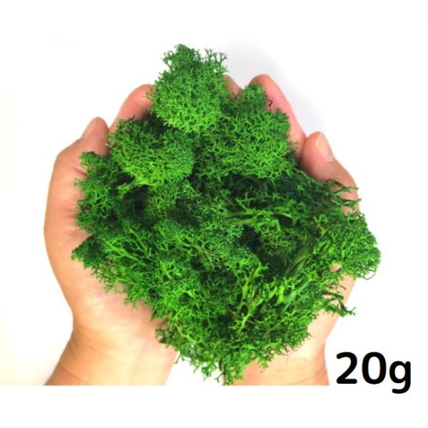 重さ：約20ｇ(湿度により異なります） 特徴◆ふわふわでもこもこ◆マイナスイオンで新鮮なキレイな空気を維持させます。◆必要に応じて湿気を吸着し、室内の湿度を一定に保ちます。◆植物における気孔層が匂いの元から悪臭を取り除きます。◆騒音の減少防...