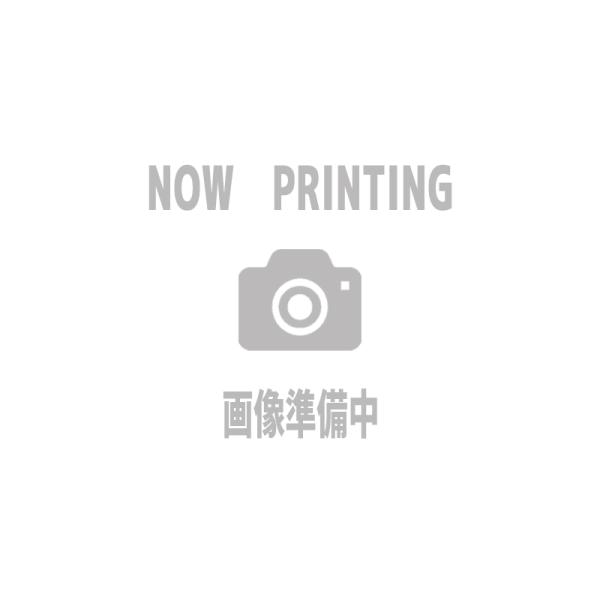 住宅用照明器具 オーデリック 照明器具部材 アウトドアライト部材 OA076227P1 検索用カテゴリ487