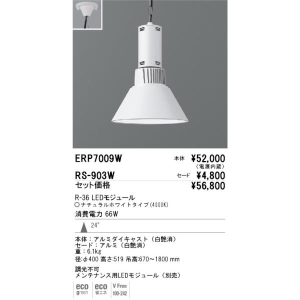 施設用照明器具 遠藤照明 ペンダント RS903W 【LED照明】 【 非調光】 【 白色】 【 プラグタイプ】 【 ランプ交換可】 検索用カテゴリ370