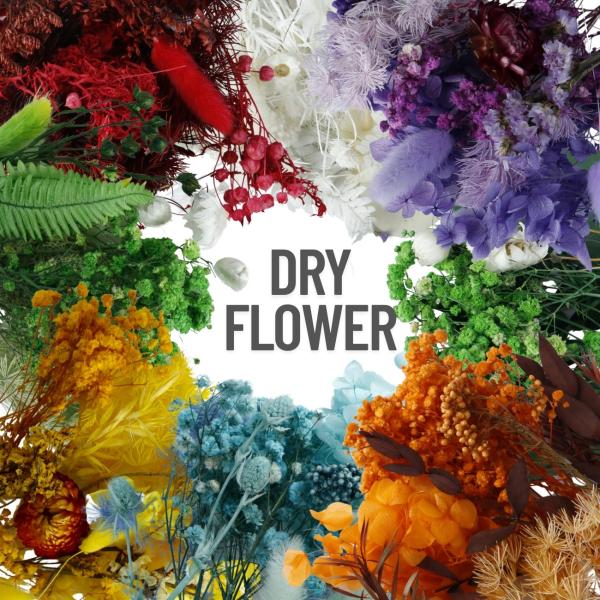 ■ご購入前にご確認ください■こちらの商品は天然のお花を加工した商品です。花びらのかけ、ちぎれ、色ムラ等ございます。また、お花の大きさもバラツキがございます。押し花はとっても繊細で壊れやすいので、ご使用時には十分お気を付けください。【ITEM...