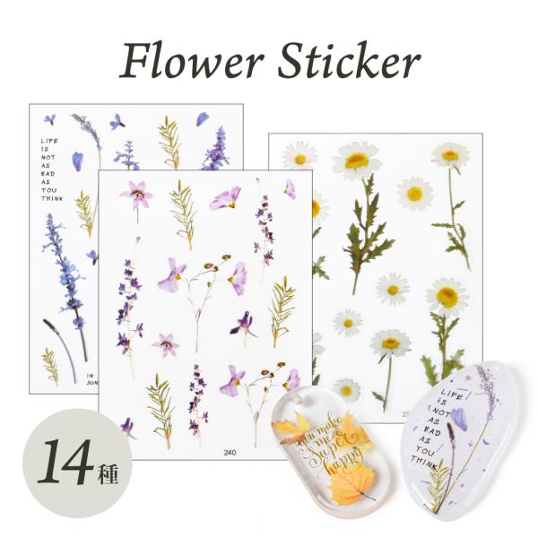ナチュラルな押し花デザインのステッカー。レジンの封入にピッタリの素材です。14種類のデザインを組み合わせて使うのも素敵です。もちろん、手帳やお手紙などに貼って使うこともできます。ITEM DETAIL商品名：　押し花ステッカー レジン封入素...