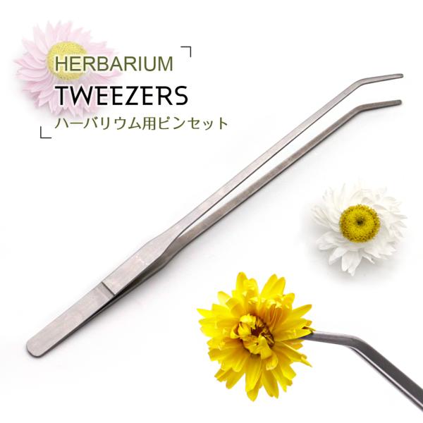 長さ27センチのハーバリウム用ロングピンセット♪細長い花瓶の底まで届く優れものです。ステンレス製なので、丈夫で且つ軽く使い易さ満点です。先端はギザギザ加工の滑り止め付きで、花材などをしっかり掴みます。ハーバリウムだけでなく、テラリウム制作や...