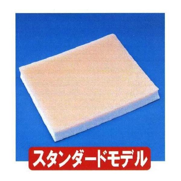 【研修医さんのトレーニングや共用試験OSCEでの使用に】 縫合パッドPro(L) ２枚組（サイズ： 約14cm x 12cm, 10 0092）- 表皮・真皮・皮下の3層構造が、生体に近いリアルな触感を再現！- 皮内縫合・皮下練習縫合などの...