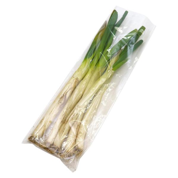 飛騨ねぎは、地ねぎです。柔らかさと、優しい甘さが自慢です。鍋物やすきやきにおすすめ。＜商品詳細＞飛騨の地ねぎ500g※本数は変わる場合があります。500gを基準にお届け。※入荷量に限りがあり、日付指定はお受けできません。　受け取れない日を外...