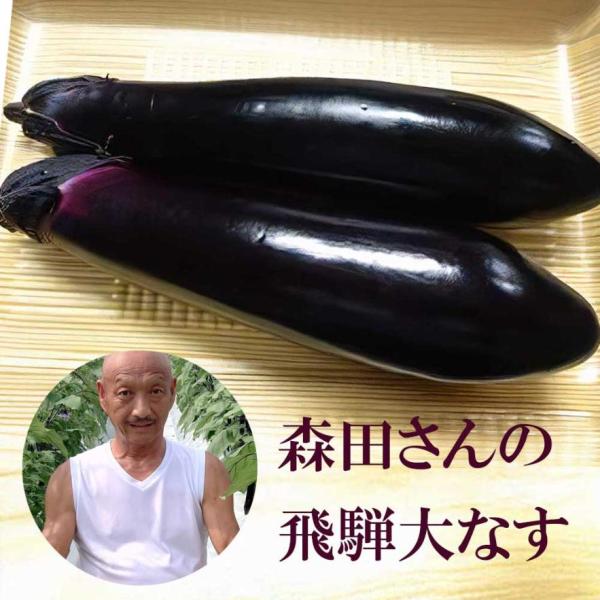 森田さんの飛騨大なすです。元気いっぱい、大きなナスです！焼きナス、マーボーナス、揚げ茄子などお楽しみください。7月〜8月までの販売です。※入荷日に限りがあり、日付指定はお受けできません。毎週木曜発送予定です。1~2週間お時間をいただきます。