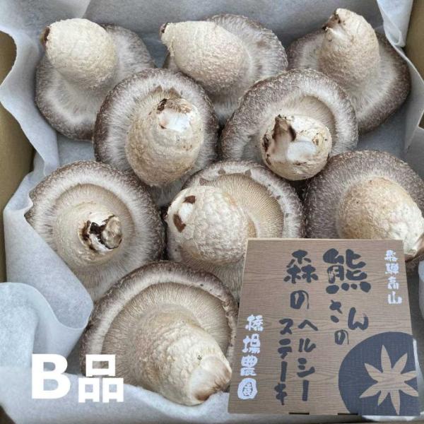 1週間前後で発送。日付指定不可。通常の椎茸より巨大なじゃんぼしいたけ。菌床椎茸です。森のヘルシーステーキ。415号という菌種です。箱を開けた瞬間「わっ！大きい！」と驚かれると思います。この大きさは食べ応えがあります。ぷりぷりと肉厚で歯ごたえ...