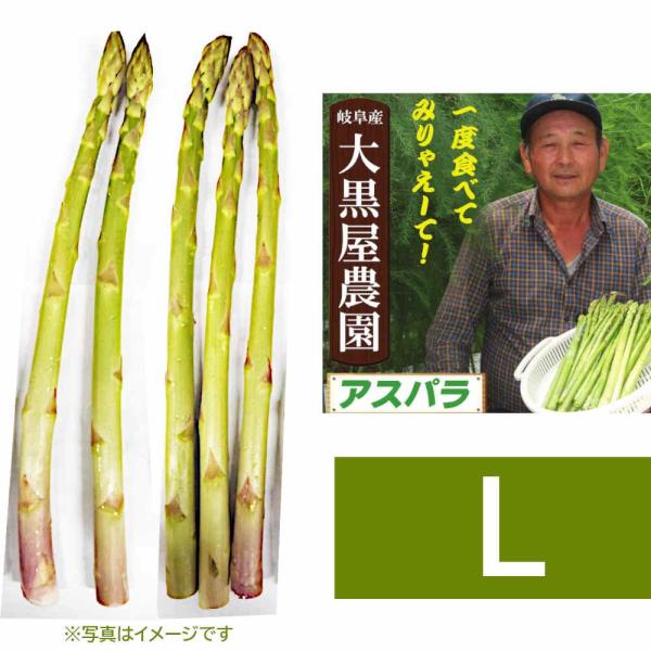 ※取寄せ後、発送いたします。日付指定不可。1〜2週間ほどお時間いただきます。とれたての新鮮な飛騨産アスパラガスを、産地直送でお届けします。大黒屋農園さんのアスパラガスです。こだわりの無化学肥料、減農薬栽培です。みずみずしく、柔らかく、味が濃...