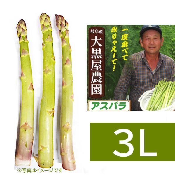 ※取寄せ後、発送。日付指定不可。1〜2週間ほどお時間いただきます。とれたての新鮮な飛騨産アスパラガスを、産地直送でお届け。大黒屋農園さんのアスパラガスです。こだわりの無化学肥料、減農薬栽培。みずみずしく、柔らかく、味が濃いです。3Lサイズ、...
