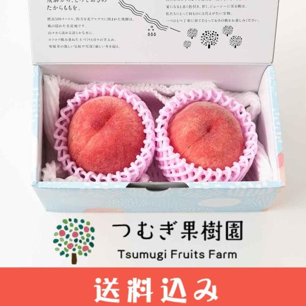 ※6月29日予約開始しました。つむぎ果樹園さんの、糖度13度以上の飛騨桃（品種替わり）です。桃の平均糖度は11度。12度以上あれば上等な甘い桃です。さらにその上を行く糖度13度。高山市国府にある果樹園で、糖度を確認してから出荷しています。「...