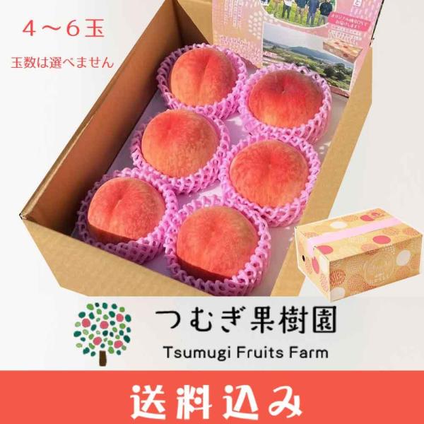 ※6月29日予約開始しました。つむぎ果樹園さんの、糖度13度以上の飛騨桃（品種替わり）です。桃の平均糖度は11度。12度以上あれば上等な甘い桃です。さらにその上を行く糖度13度。高山市国府にある果樹園で、糖度を確認してから出荷しています。「...