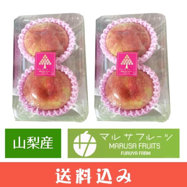 2026年6月25日（木）販売開始予定です。しばらくお待ちください。山梨県のマルサフルーツ 古屋農園さんの桃です。さとう実店舗で、シャインマスカットもお取引のある農園さんです。甘く大きな桃です。発送時期に合わせて、その時期に一番おいしい品種...