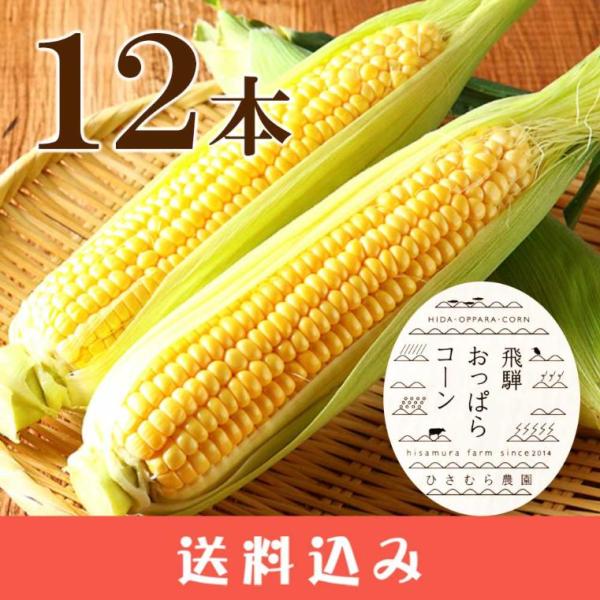 飛騨おっぱらコーンは、無農薬・有機肥料で育てたとうもろこしです。岐阜県飛騨地方 大原（おっぱら）地区で育てられました。郡上市と高山市を結ぶ「せせらぎ街道」のちょうど真ん中あたりです。標高800m以上の非常に寒暖差の激しい環境で育てられていま...