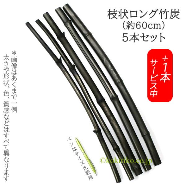 ＜商品内容＞　枝竹炭60cm　5本＋サービス添付1本＝計6本＊写真の器や植物などは商品には含まれません＜備考＞目安重量は、1本あたり約35g〜70g（バラつきがあり、湿度によっても変動しますのであくまでも目安です）--------画像はあく...