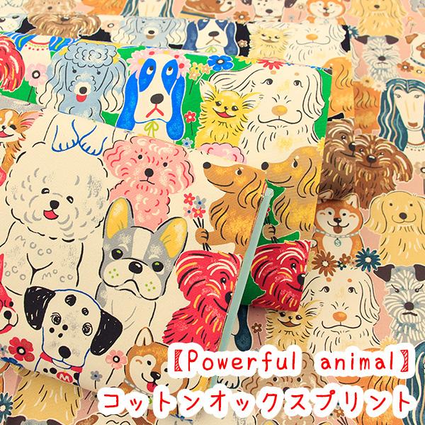 ★価格は１０cmの価格です。★最短５０cmより１０cm単位でカットいたします。（「４」以下はご注文できません。）【生地名】コットンオックス【素材】コットン１００％【生地幅】約１１０ｃｍ【おすすめ用途】バック・インテリア・小物など。【メール便...