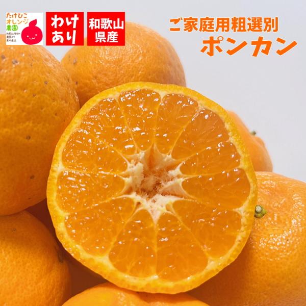 【発売日：2026年01月20日】■商品名：ご家庭用粗選別ポンカン■名称：　ポンカン■産地：　国産（和歌山県有田産）■内容量：１０ｋｇ■サイズ・等級：混合サイズ・粗選別ご家庭用■送料：　送料無料（北海道は500円、沖縄は1,600円別途ご負...