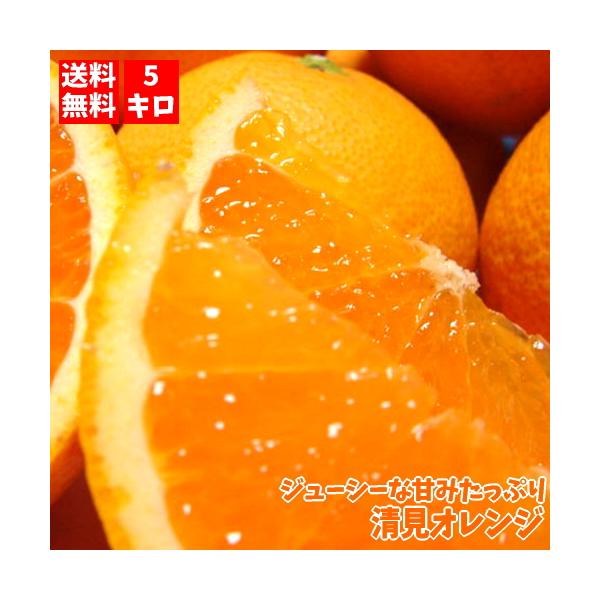 【発売日：2026年02月10日】春の柑橘と言えばこの清見オレンジがとても人気があります。当園の清見オレンジは寒さから甘みとジューシーさを損なわないように一つ一つ私達が心を込めて袋を被せて大事に育てております。ほんまもんの産地直送で皆様へお...