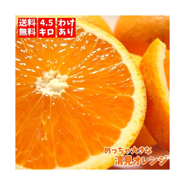 【発売日：2026年02月20日】春の柑橘と言えばこの清見オレンジがとても人気があります。当園の清見オレンジは寒さから甘みとジューシーさを損なわないように一つ一つ私達が心を込めて袋を被せて大事に育てております。ほんまもんの産地直送で皆様へお...