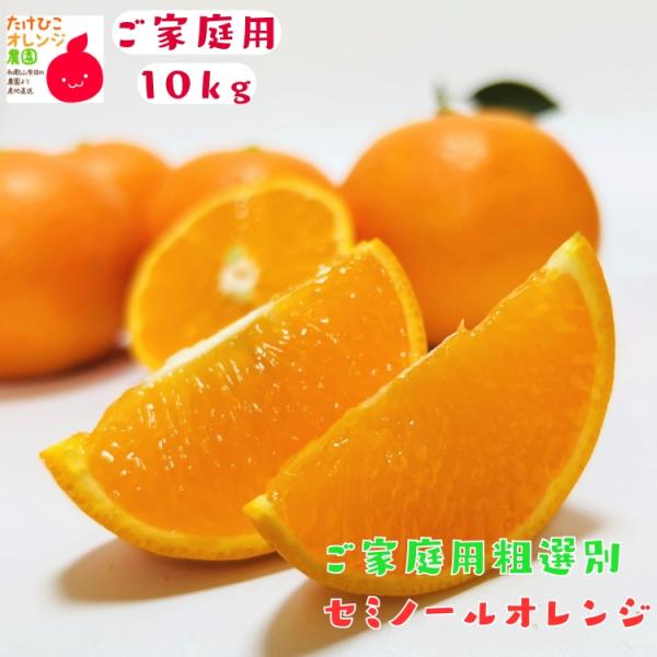 ■商品名：ご家庭用粗選別セミノールオレンジ■名称：　セミノールオレンジ■産地：　国産（和歌山県有田産）■内容量：１０ｋｇ■サイズ：Ｓサイズ以上の混合サイズ■送料：　送料無料（北海道は500円、沖縄は1,600円別途ご負担となります。)■お届...