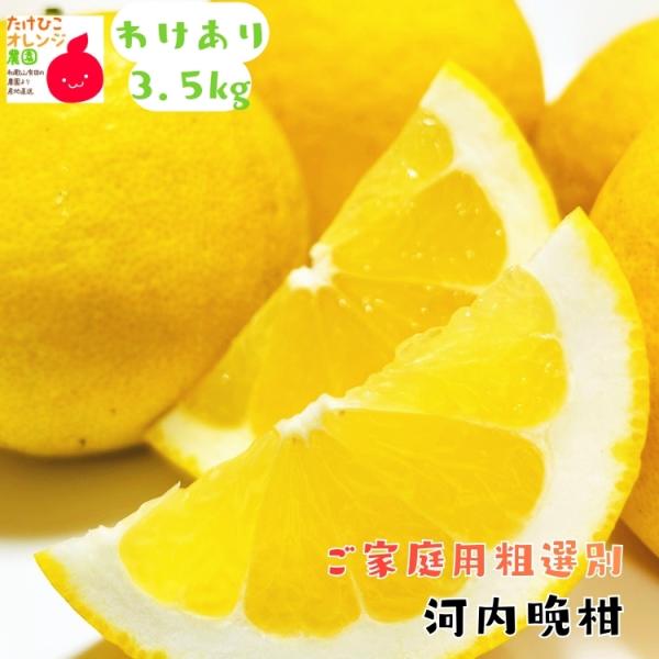 【発売日：2026年04月10日】河内晩柑は和製グレープフルーツとも呼ばれているとっても爽やかな食味の柑橘類です。栽培されている地域により、宇和ゴールド、ジューシーフルーツ、夏文旦、美生柑、愛南ゴールド、天草晩柑などと呼ばれていますが、全て...