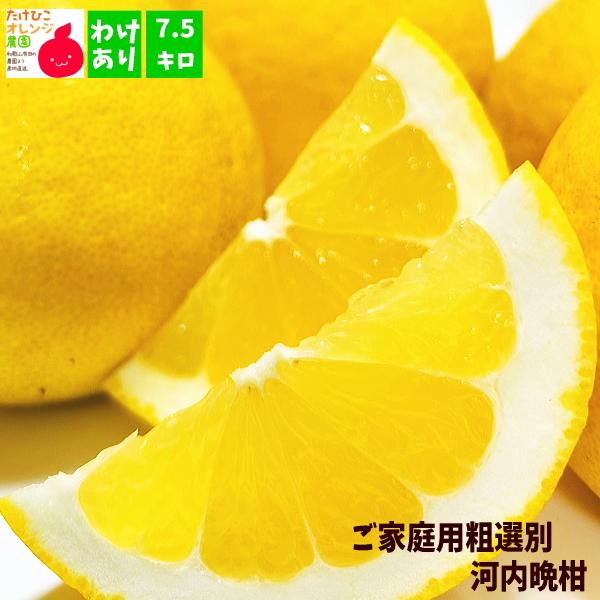【発売日：2026年04月10日】河内晩柑は和製グレープフルーツとも呼ばれているとっても爽やかな食味の柑橘類です。栽培されている地域により、宇和ゴールド、ジューシーフルーツ、夏文旦、美生柑、愛南ゴールド、天草晩柑などと呼ばれていますが、全て...