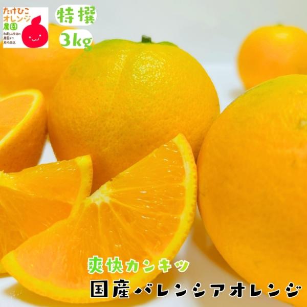 初夏の蒸し暑さを吹っ飛ばしてくれるのが国産バレンシアオレンジです。冷蔵庫などで“キンキン”に冷やして食べると爽快さ満点のさわやかカンキツです♪有田みかんの本場紀州和歌山有田より送料無料でお届けです♪■商品名：爽快カンキツ　国産 バレンシア ...