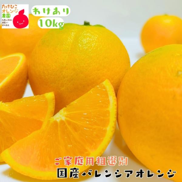 初夏の蒸し暑さを吹っ飛ばしてくれるのが国産訳ありバレンシアオレンジです。冷蔵庫などで“キンキン”に冷やして食べると爽快さ満点のさわやかカンキツです♪有田みかんの本場紀州和歌山有田より送料無料でお届けです♪■商品名：ご家庭用訳あり国産バレンシ...
