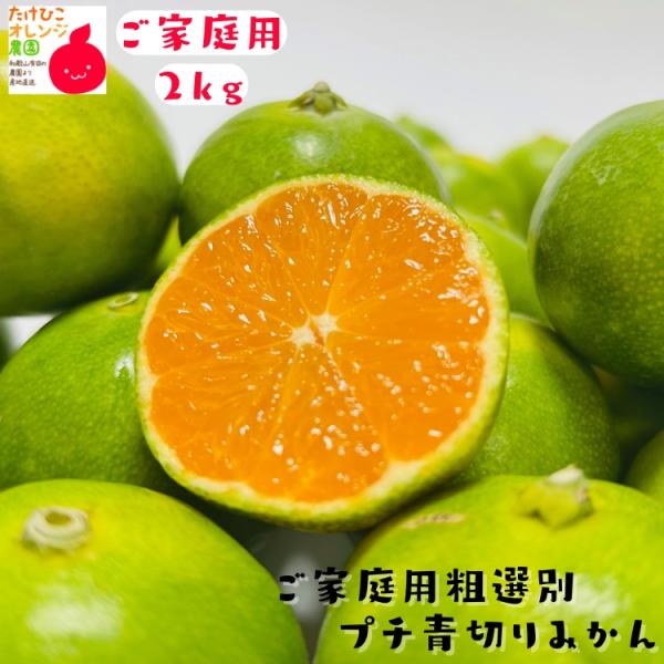 見た目はすっごくちいさくて緑色のみかんですが、甘みが凝縮されていて、酸味とのバランスがバツグンのこの時期にしか味わえない旬のみかんです。　ビタミンＣたっぷりの小玉青切りみかんは残暑の季節にピッタリです。みかんの本場紀州和歌山有田の農園より送...