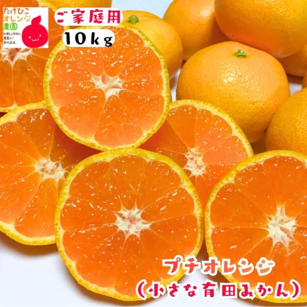【発売日：2026年11月10日】小玉有田みかん プチオレンジは甘みがぎゅ〜っと詰まってるとってもかわいいみかんです。一つ食べると次から次へと手が伸びるほど病み付きになる濃厚な甘味のミカンです。ご家庭用粗選別となっておりますので擦れ傷など見...